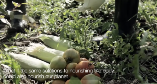 DIG – Development in Gardening (DIG)